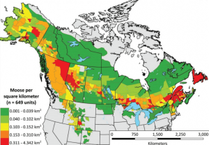 Moose Population in North America | Wondering Maps